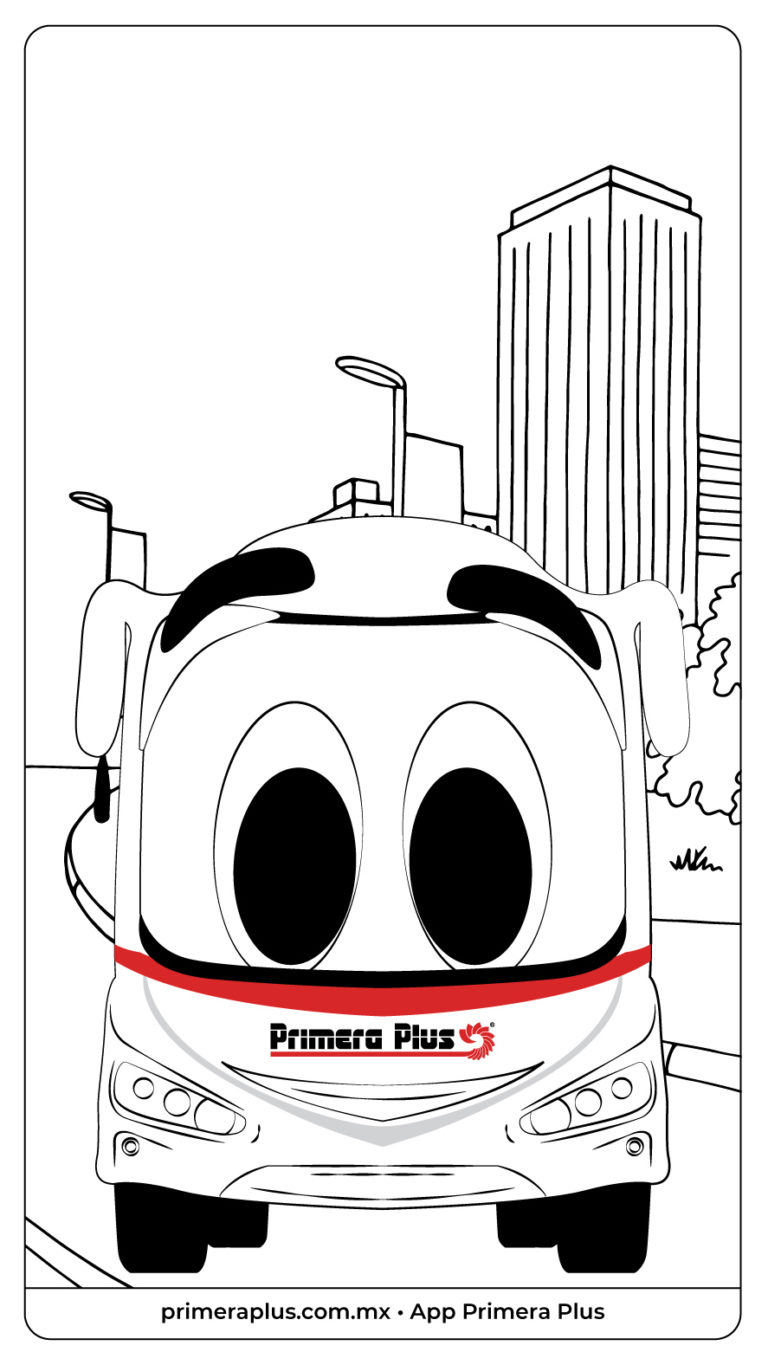 bus1 – Primera Plus