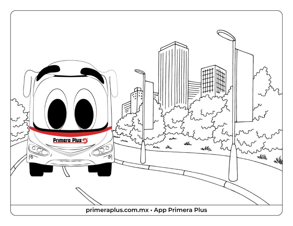 bus4 – Primera Plus